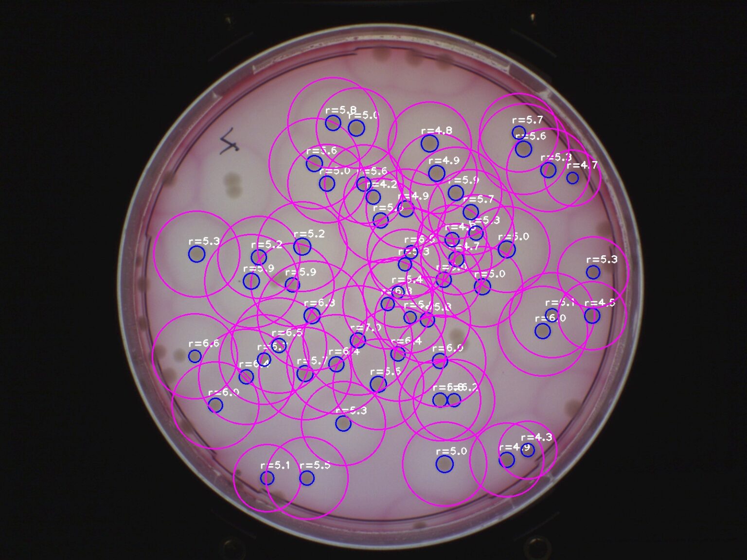 Halo measurement - SciRobotics