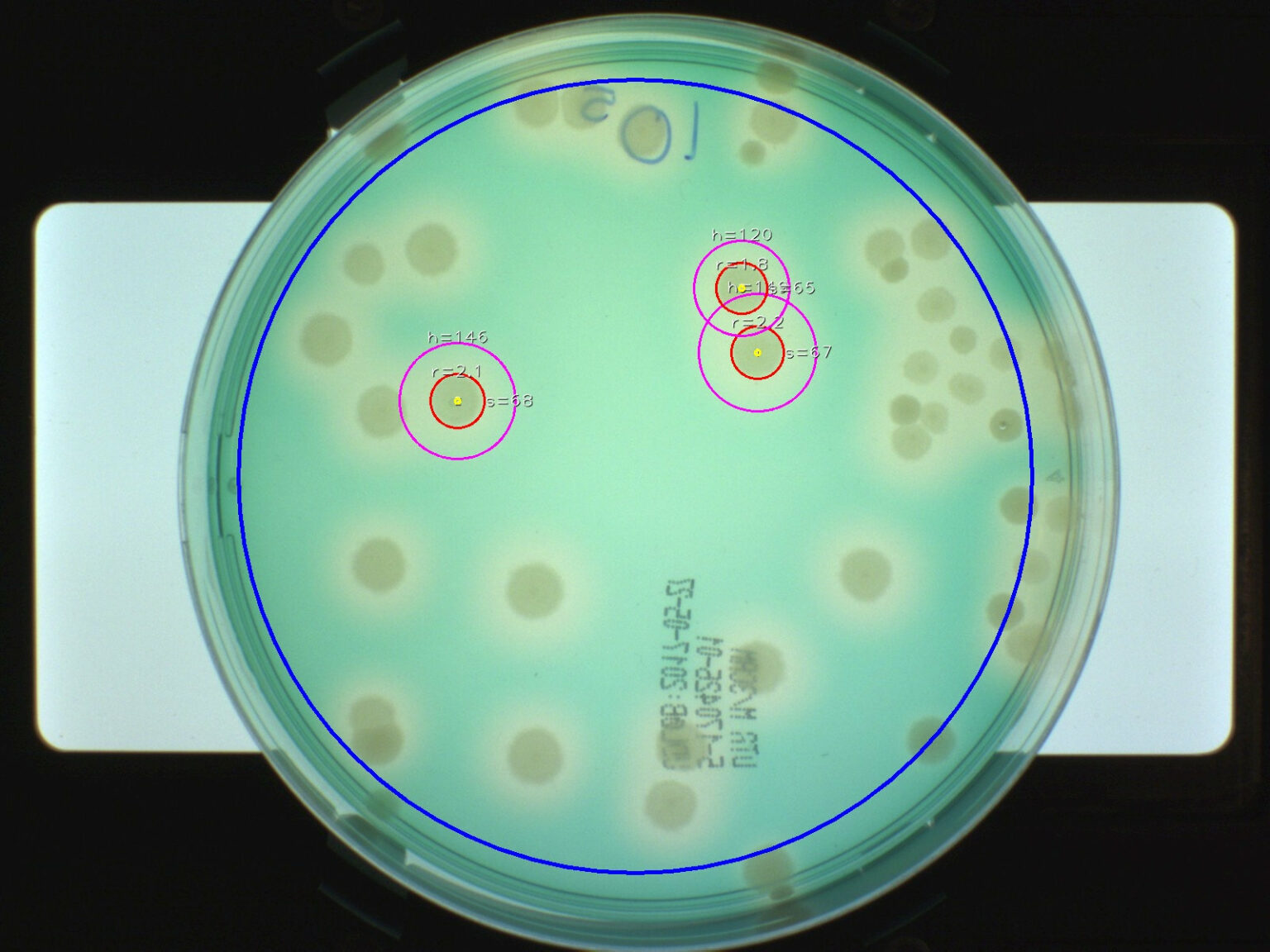Halo measurement - SciRobotics